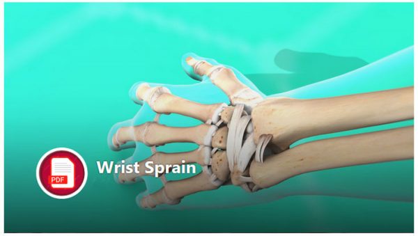 Hand & Wrist Specialists
